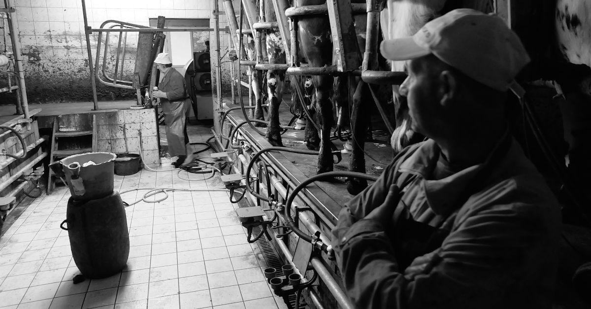 Le roman photo | Yakamedia