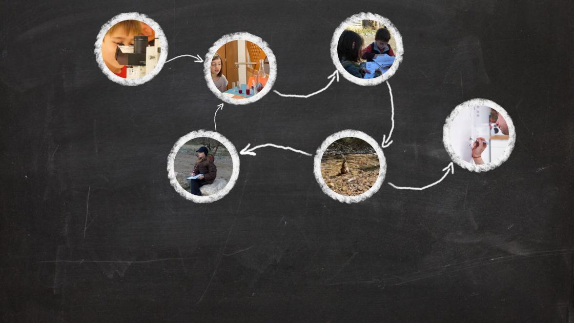 Les phases de la méthode scientifique | Yakamedia